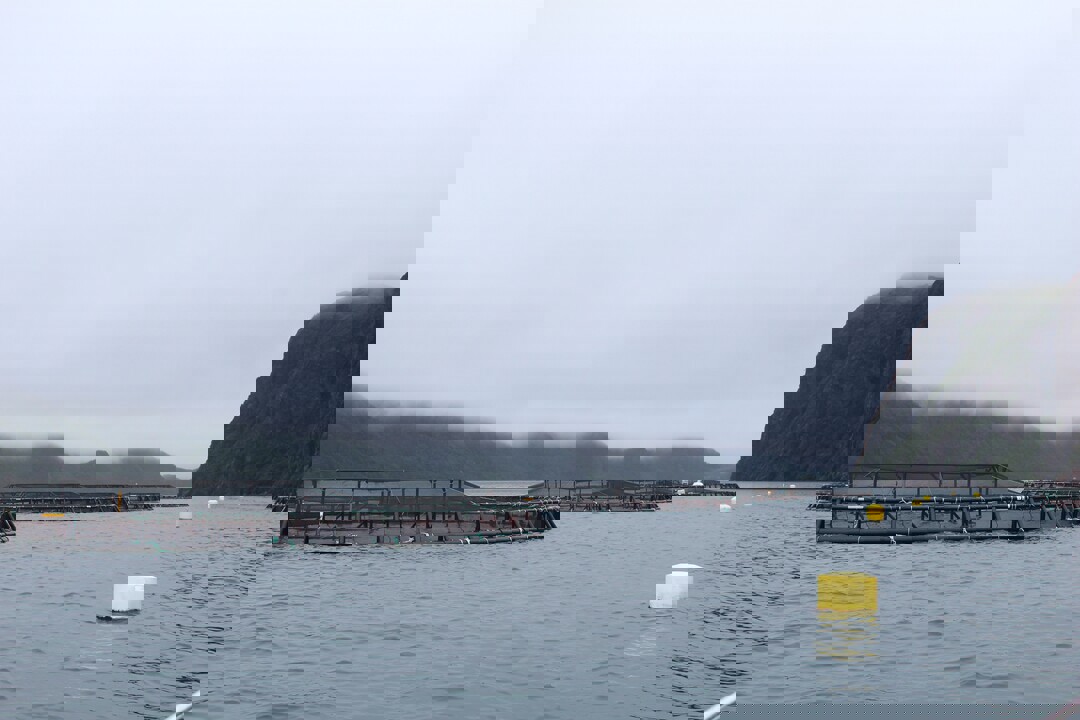 Mineral deficiencies in ponds - Skretting