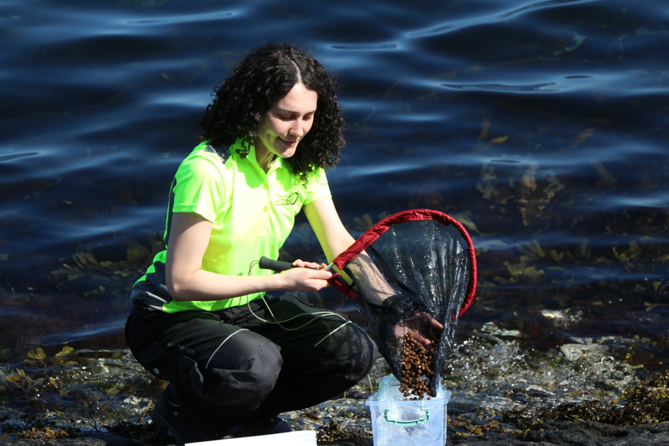 Navigating the complexities of waterborne feeding - Skretting