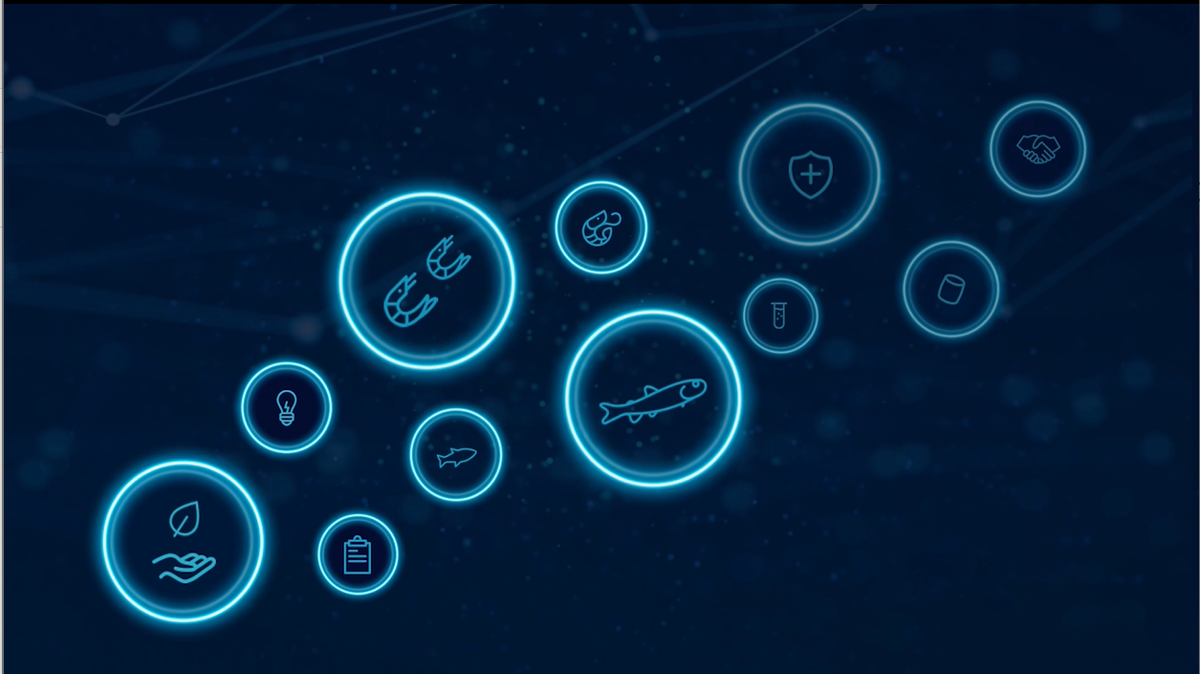 Skretting driving the future of innovation with new organisation ...