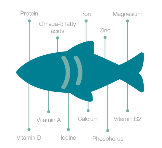 3.1 Farmed fish represents food and nutrition security - Skretting