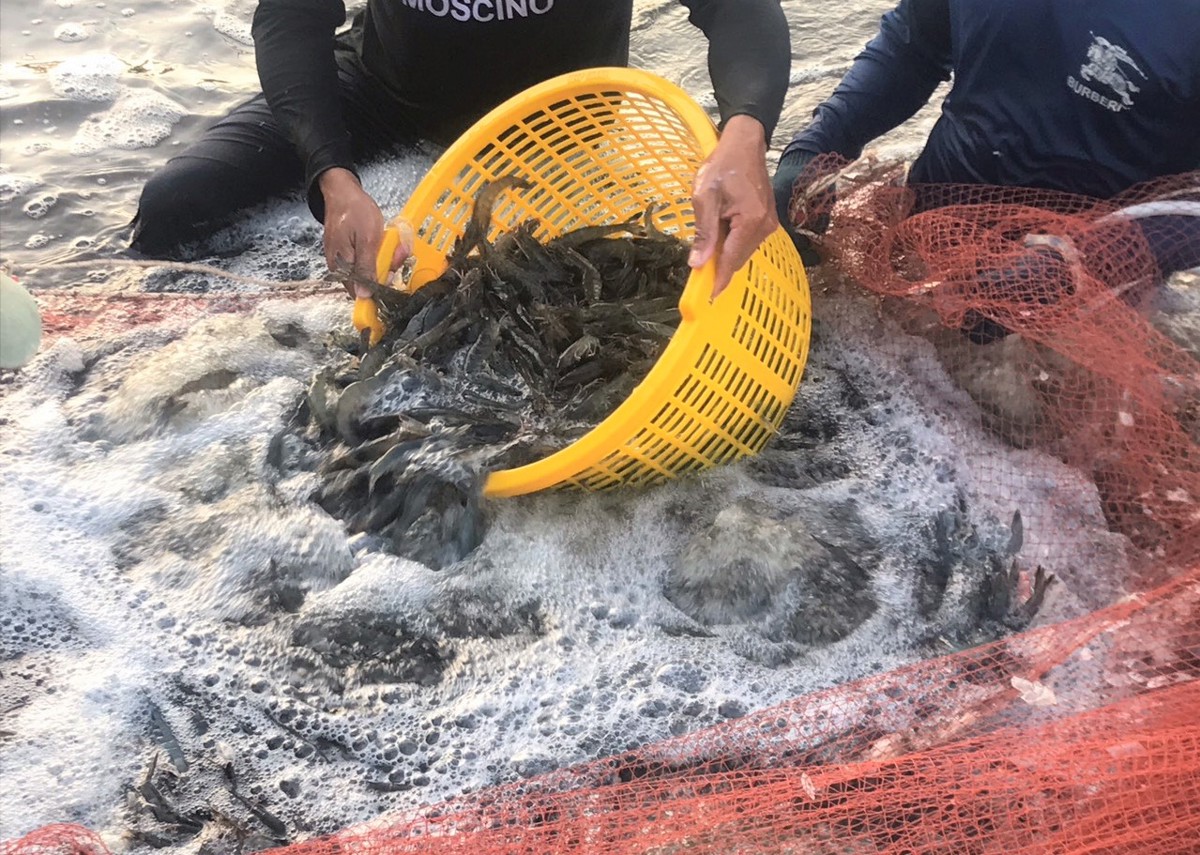 Skretting - Đột phá cùng SUCCESS - Skretting