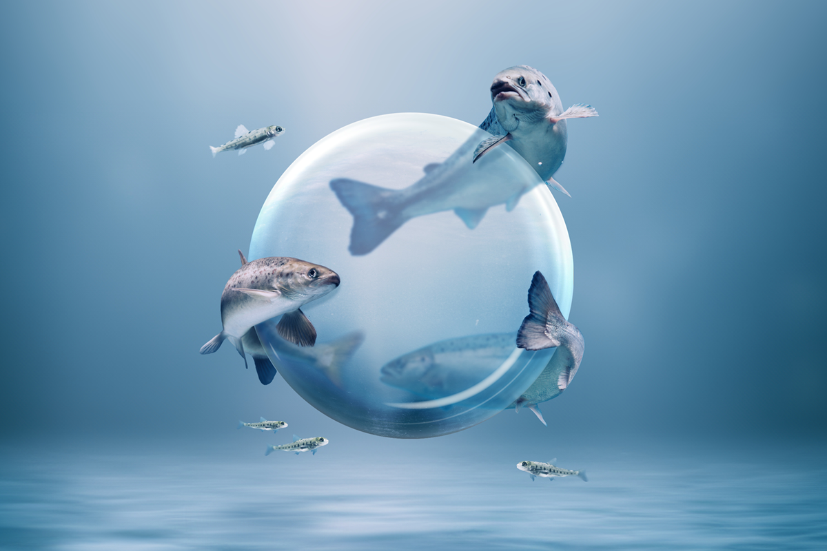 Nutra Terra - growth feed for juvenile fish - Skretting