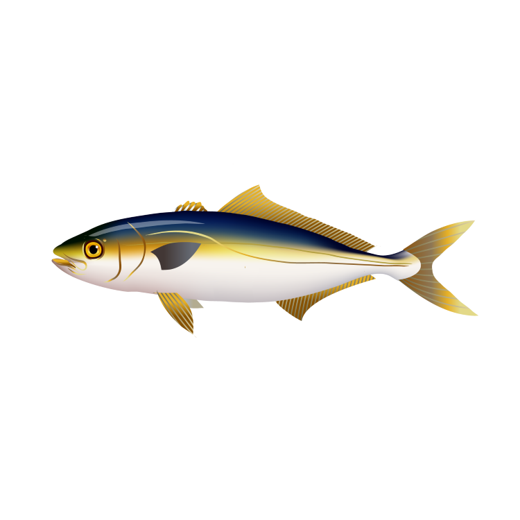 ORI para seriola - Skretting