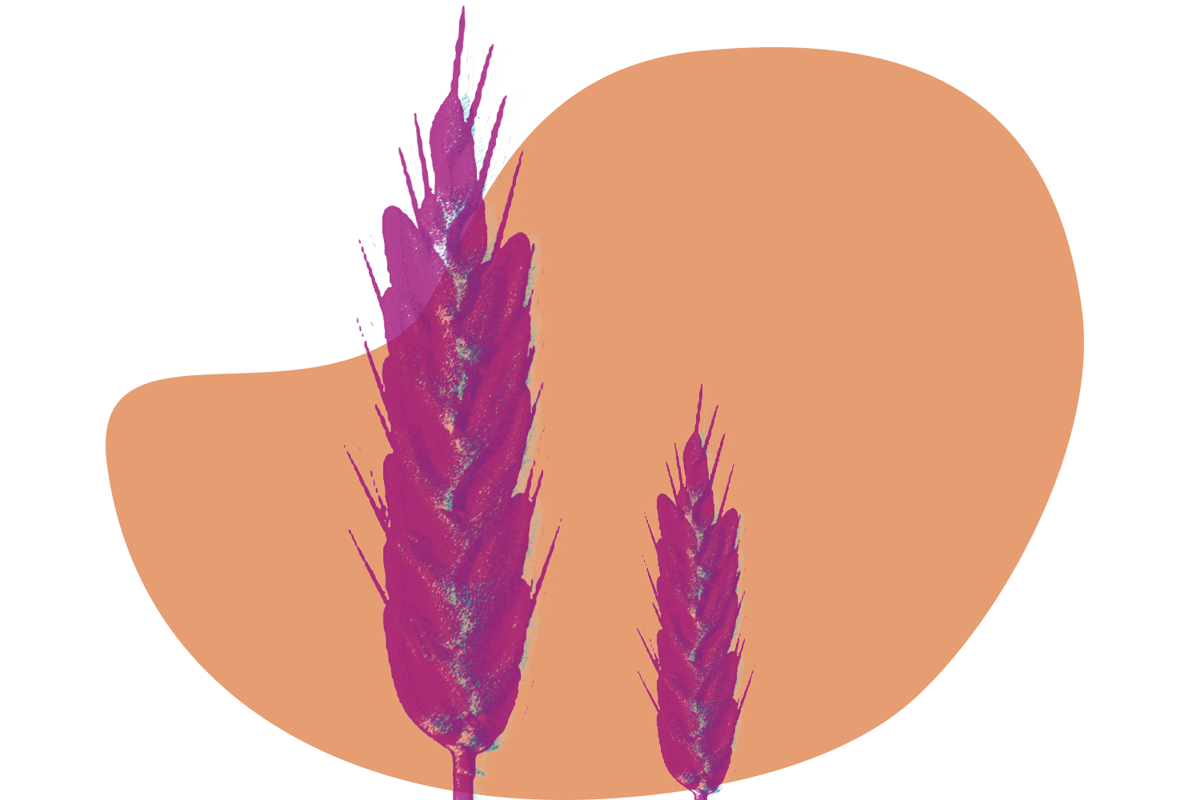 Transparency and trust - Skretting